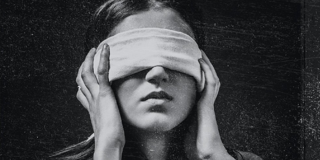 Bird Box – Radical Dreamer