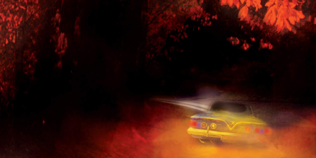 DIS MEM BER and Other Stories of Mystery and Suspense – Radical Dreamer